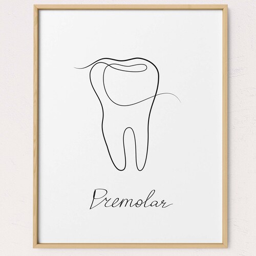 Premolar Tooth One Line Art Dentist Gift Dentist Anatomy - Etsy