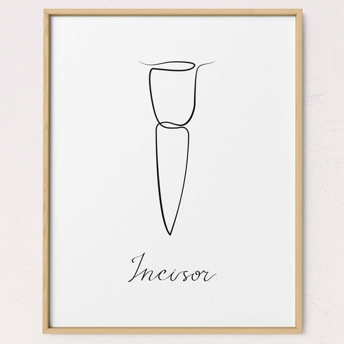 Premolar Tooth One Line Art Dentist Gift Dentist Anatomy - Etsy
