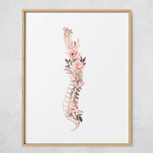 Spine Anatomy Poster Human Spine Print Chiropractor Gift | Etsy