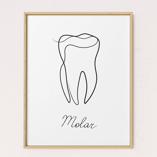 Canine Tooth One Line Art Dentist Gift Dentist Anatomy Art | Etsy