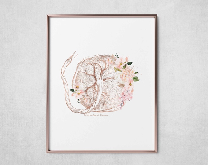 Placenta Fetus Pregnancy Art Womb Art Print Baby Art - Etsy