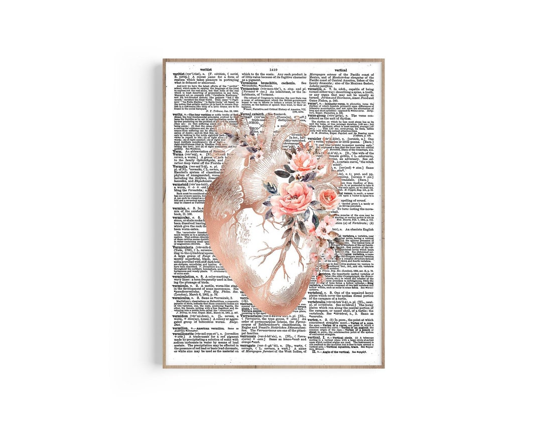 Heart Anatomy Print Heart Anatomy Poster Anatomical Heart - Etsy