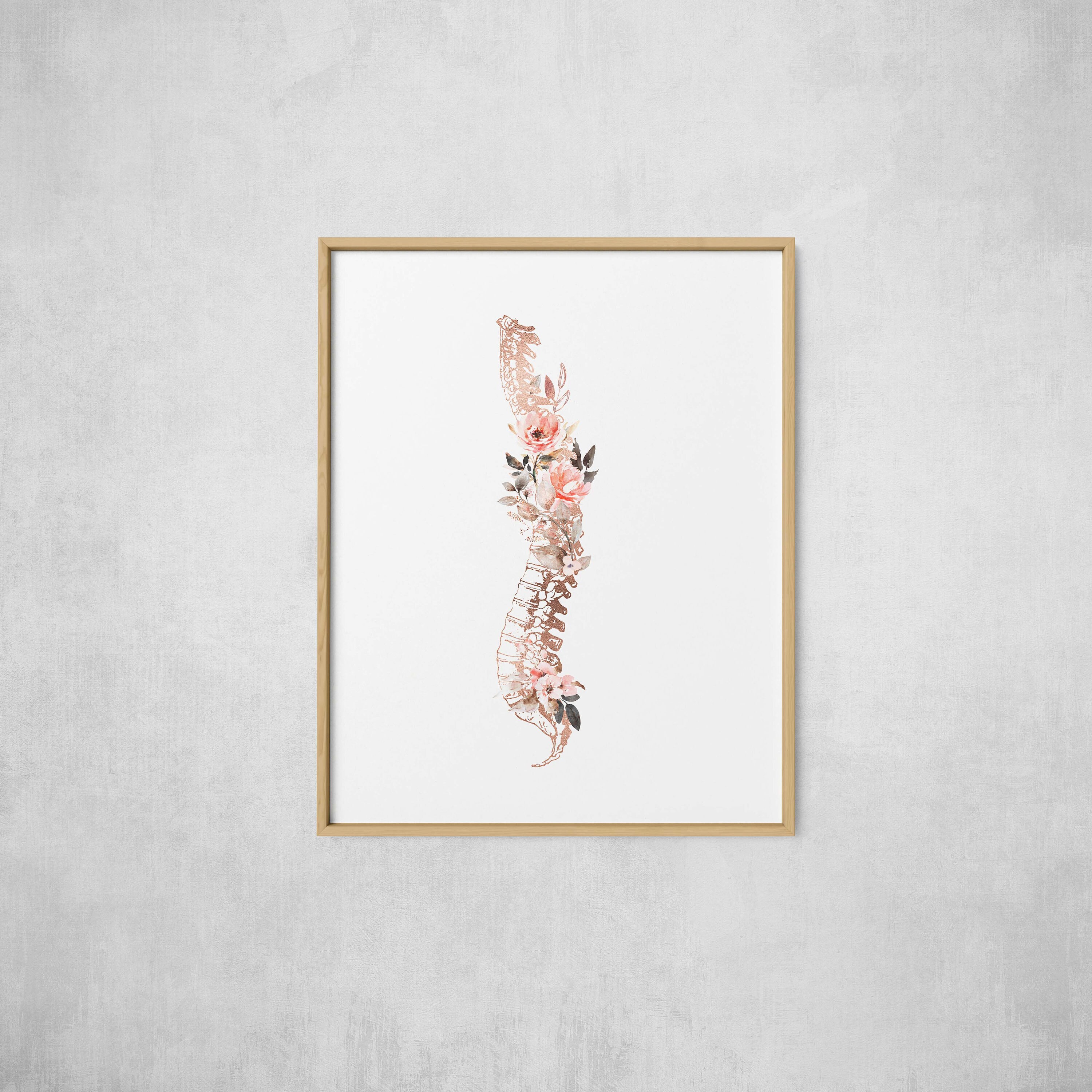 Spine Anatomy Poster Human Spine Print Chiropractor Gift | Etsy
