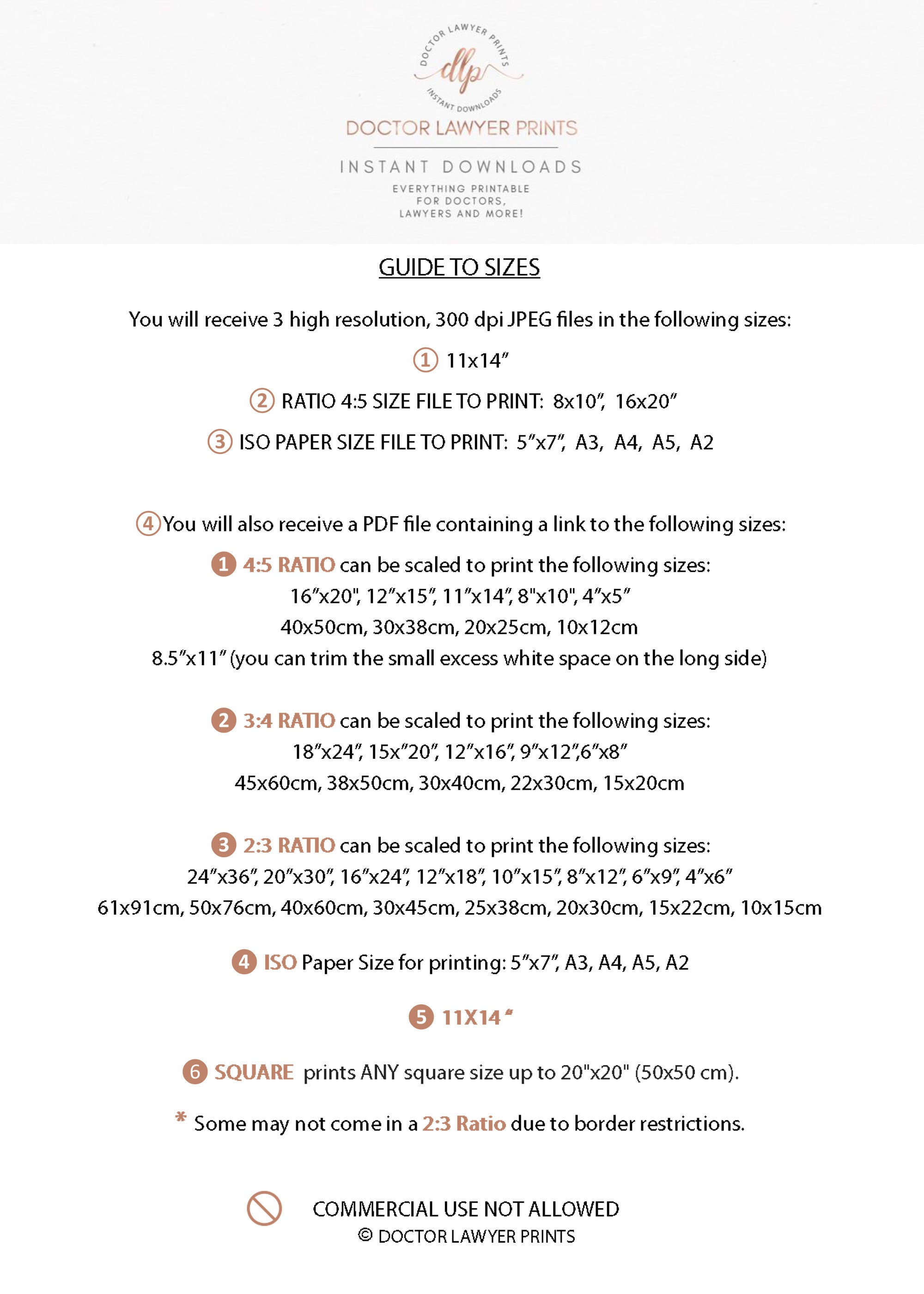 Heart Anatomy Print Heart Anatomy Poster Anatomical Heart - Etsy