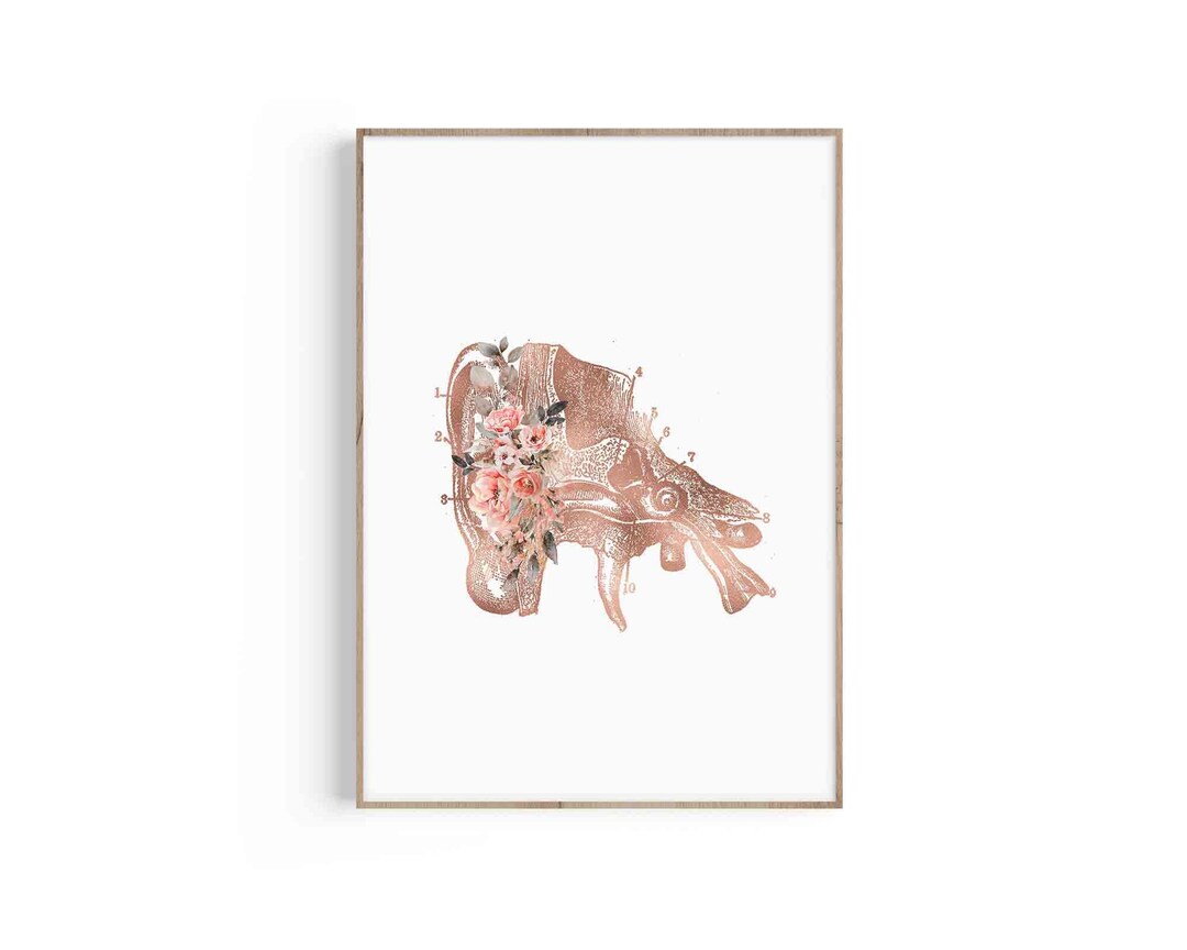Ear Anatomy Print, ENT, Doctor Gift, Ear Art, Ear Print, Vestibular ...