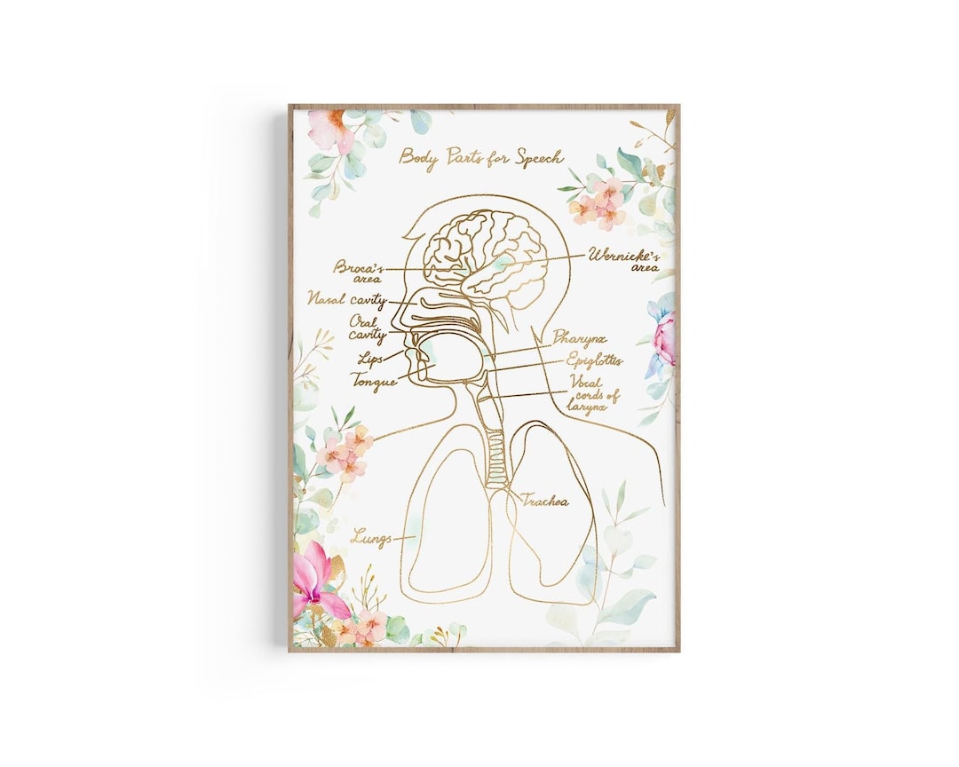 Speech Anatomy One Line Art, Speech Language Pathologist Gift, SLP ...