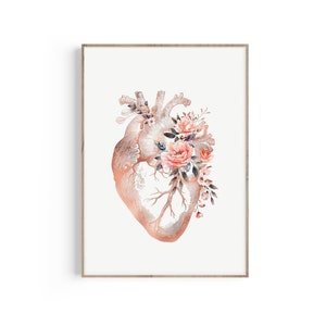 Heart Anatomy Print Heart Anatomy Poster Anatomical Heart - Etsy India