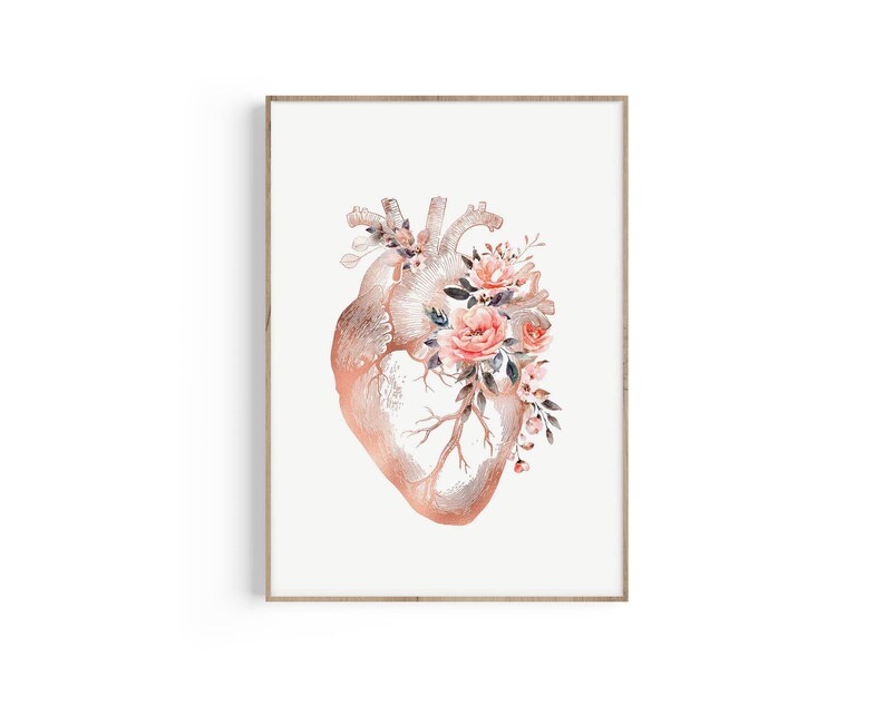 Heart Anatomy Print Heart Anatomy Poster Anatomical Heart - Etsy India