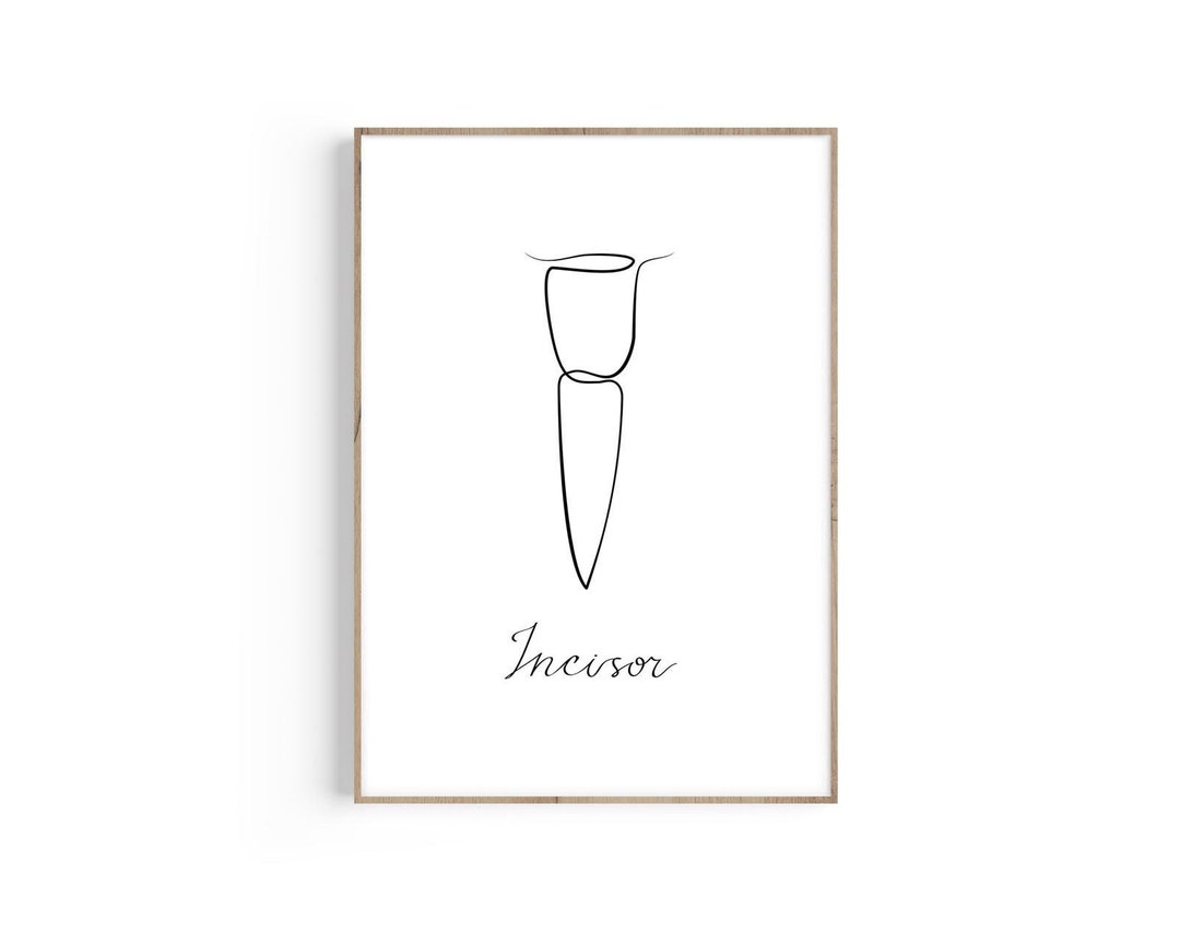 Incisor Tooth One Line Art, Dentist Gift, Dentist Anatomy Art, Dentist ...
