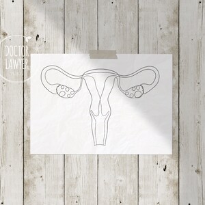 Uterus One Line Anatomy Print Female Reproductive System - Etsy