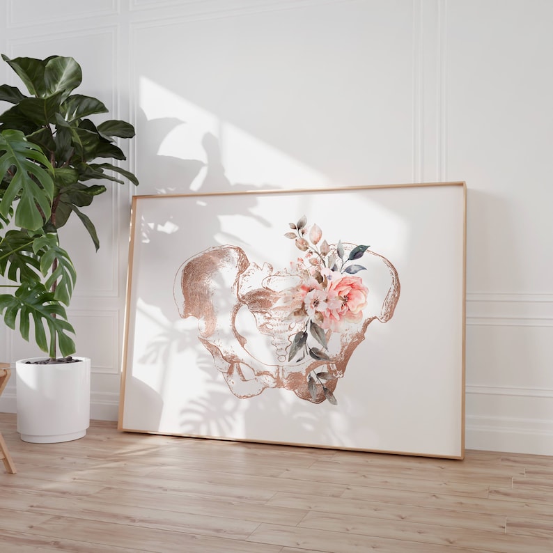 Floral Pelvis Anatomy Art Print: Doctor Gift (digital Download) - Etsy