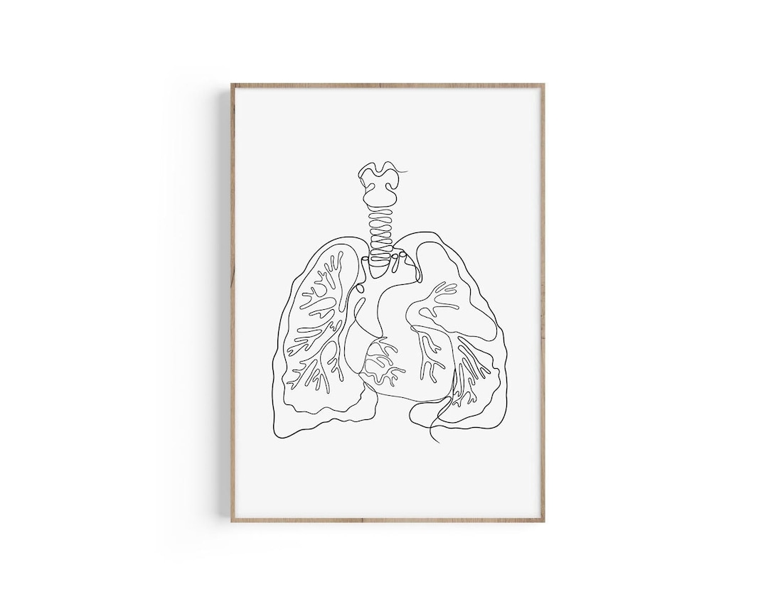 Lungs One Line Art, Human Anatomy Art Print, Respiratory System ...