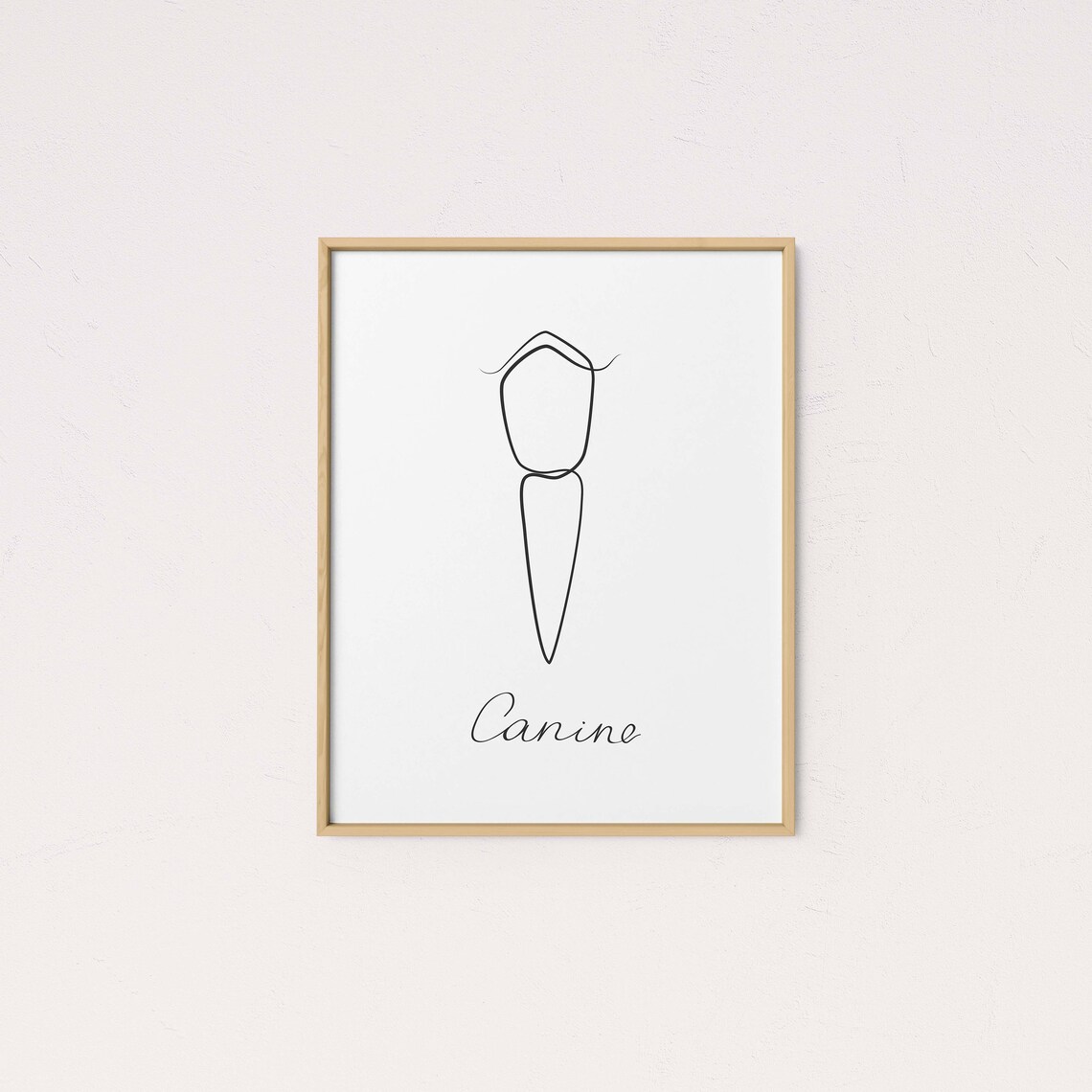 Canine Tooth One Line Art Dentist Gift Dentist Anatomy Art | Etsy