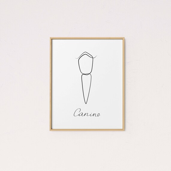 Canine Tooth One Line Art Dentist Gift Dentist Anatomy Art - Etsy
