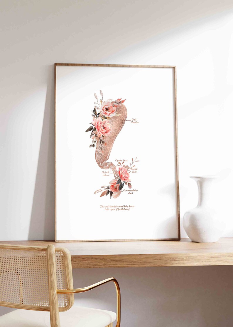 Floral Gall Bladder Anatomy Art Print: Gastroenterologist Gift (digital ...