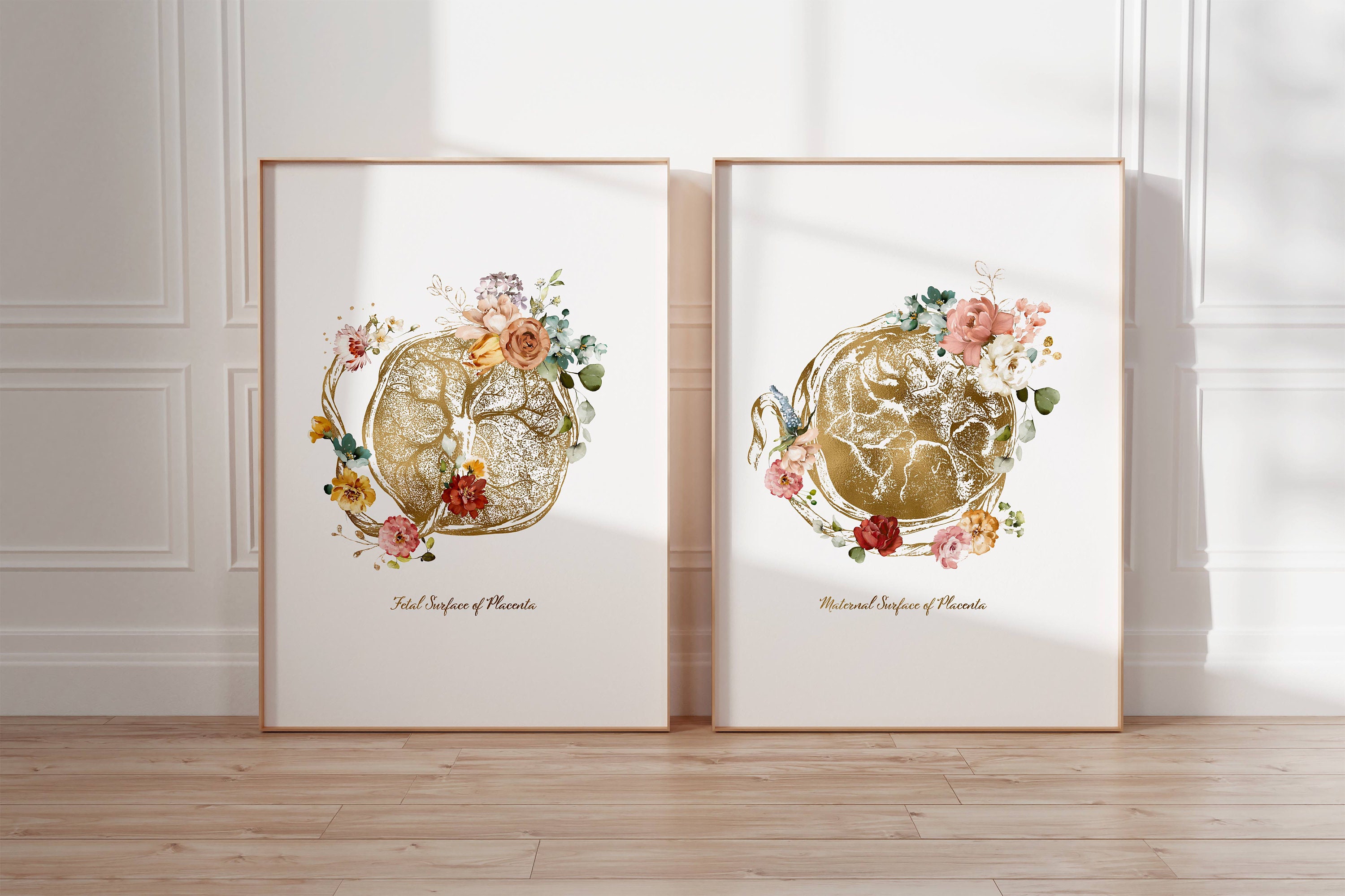 Placenta Anatomy Art Print, Maternal Fetal Development (digital ...
