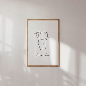 Premolar Tooth One Line Art, Dentist Gift, Dentist Anatomy Art, Dentist ...
