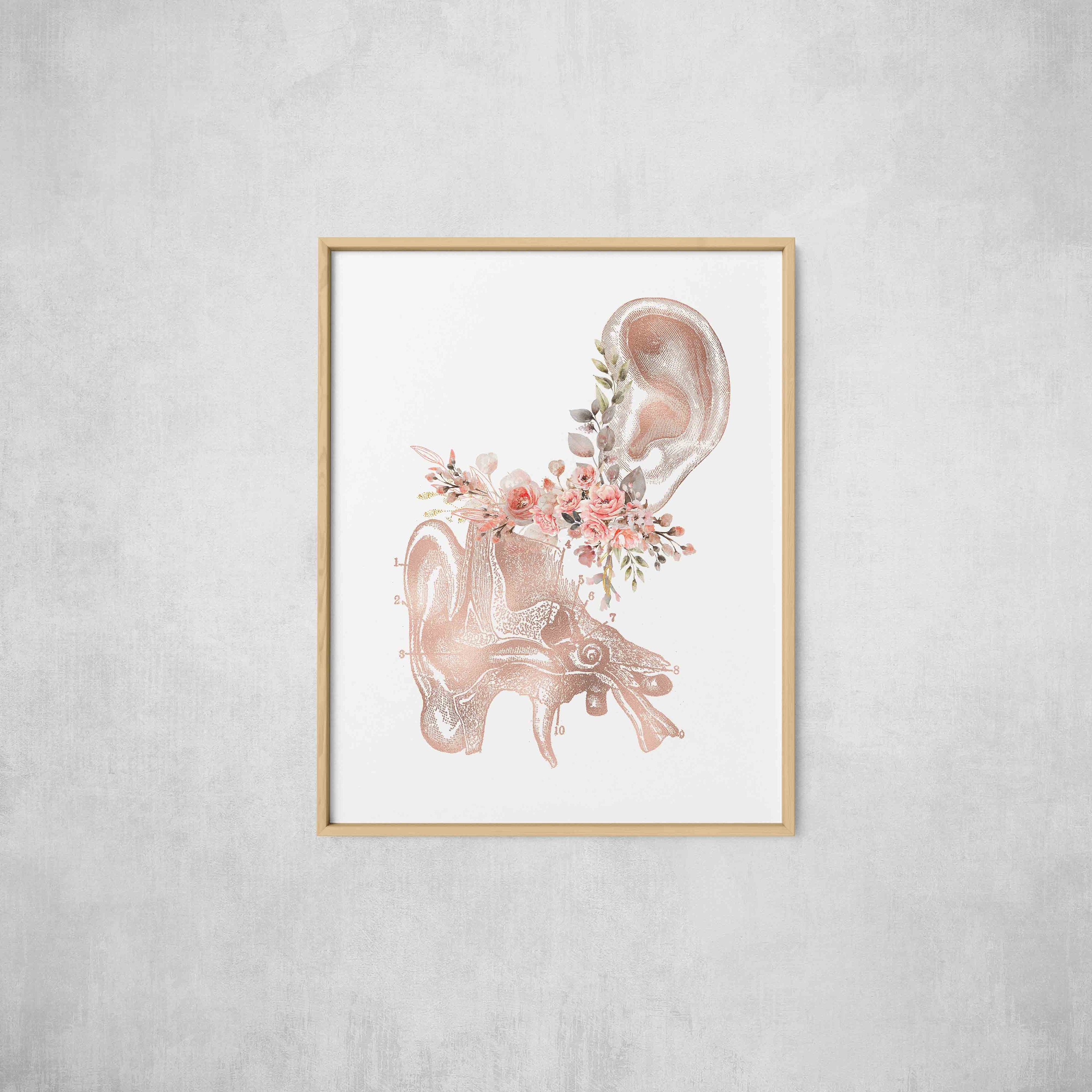 Ear Anatomy Print ENT Doctor Gift Ear Art Ear Print | Etsy