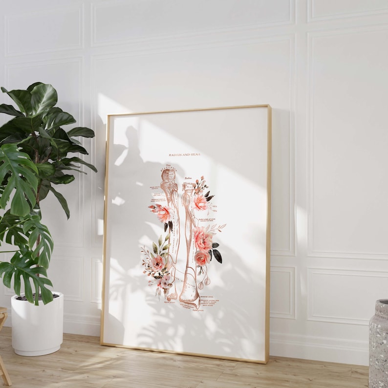 Radius Ulna Bones Floral Anatomy Art Print: Orthopedic Gift (digital ...