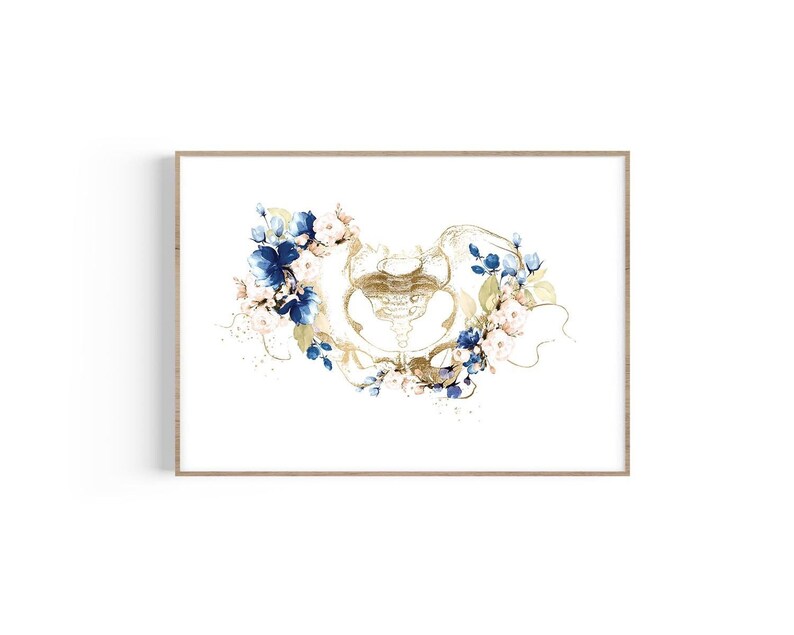 Floral Pelvis Anatomy Art Print: Doctor Gift (digital Download) - Etsy