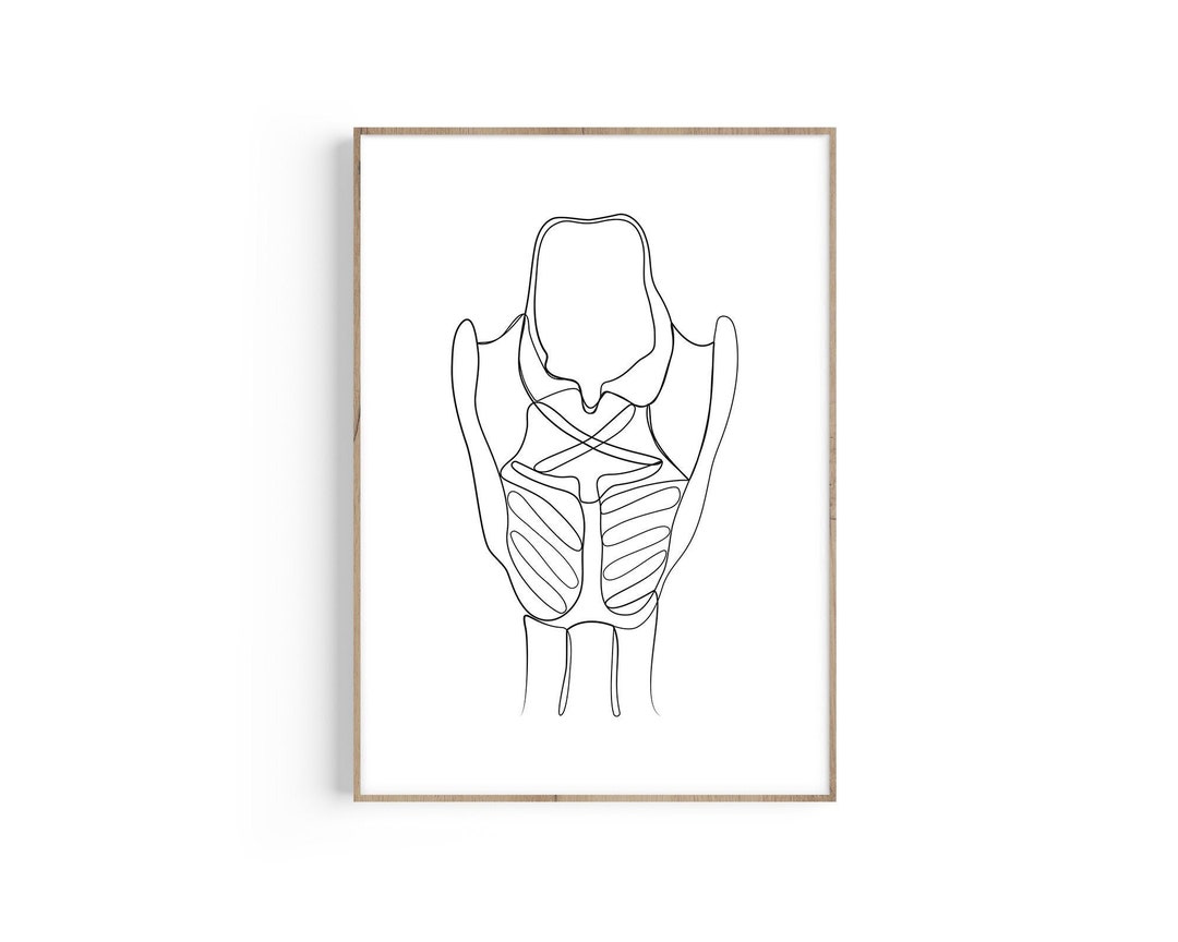 Larynx Anatomy One Line Art Print: SLP, ENT, Medical Gift (digital ...