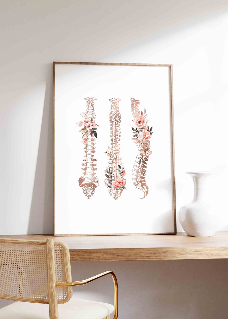 Floral Spine Anatomy Print: Chiropractor Gift (digital Download) - Etsy