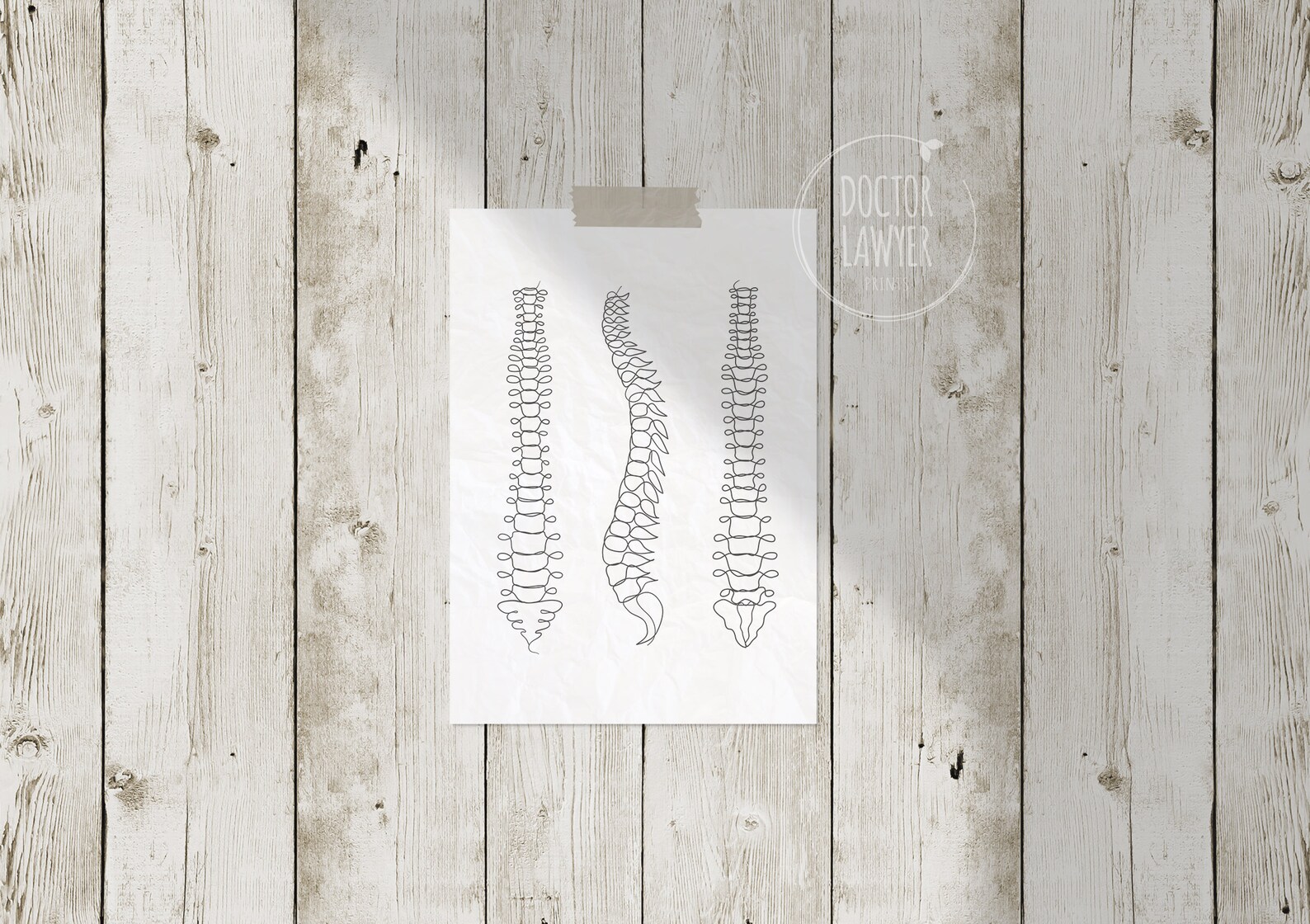 Spine One Line Art Human Spine Print Chiropractor Gift | Etsy