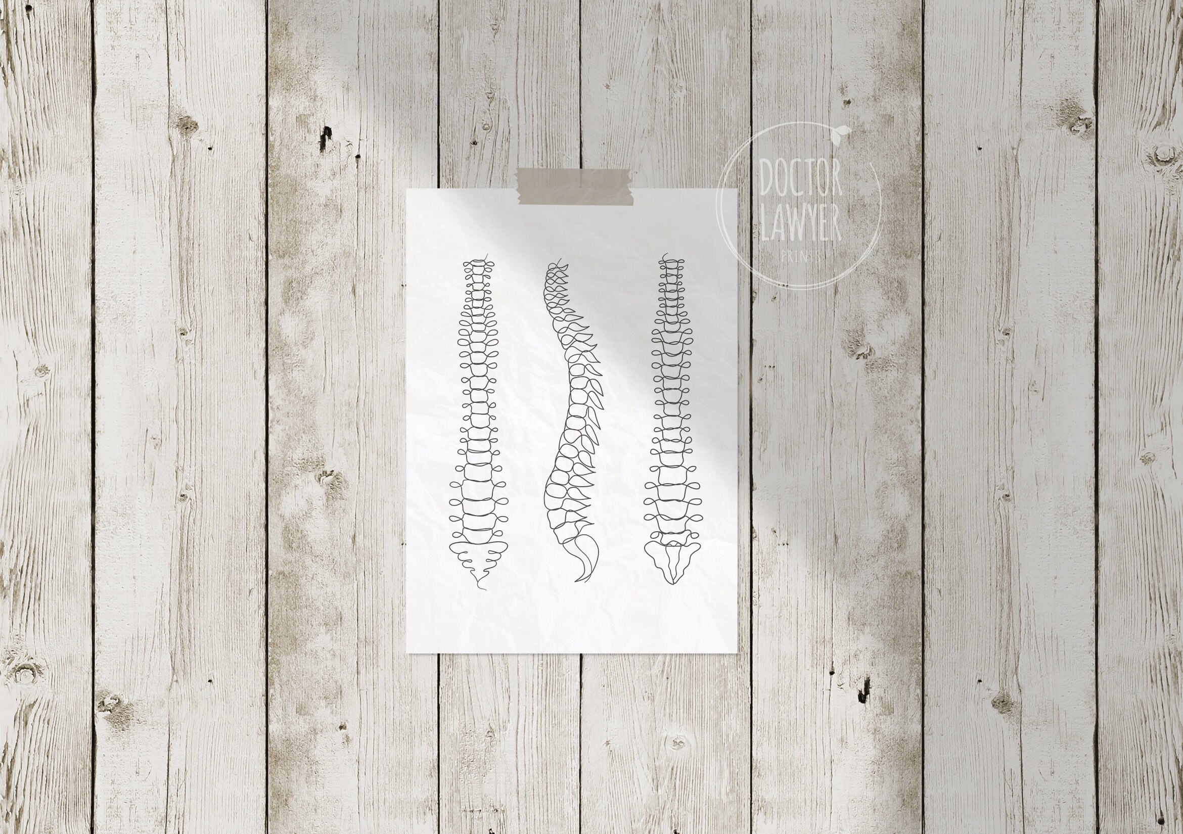 Spine One Line Art Human Spine Print Chiropractor Gift | Etsy