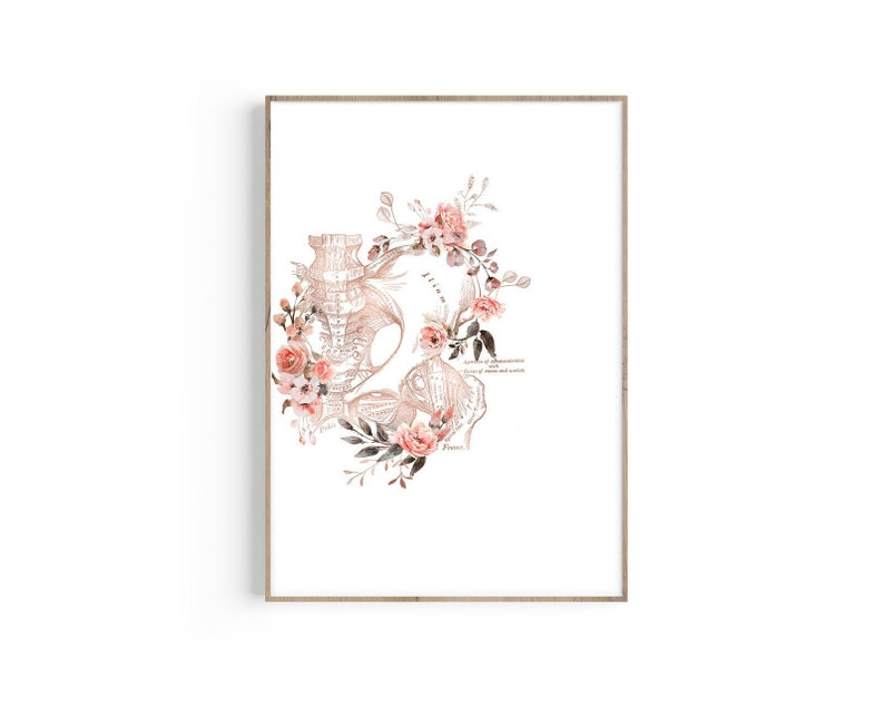 Floral Pelvis Anatomy Art Print: Doctor Gift (digital Download) - Etsy