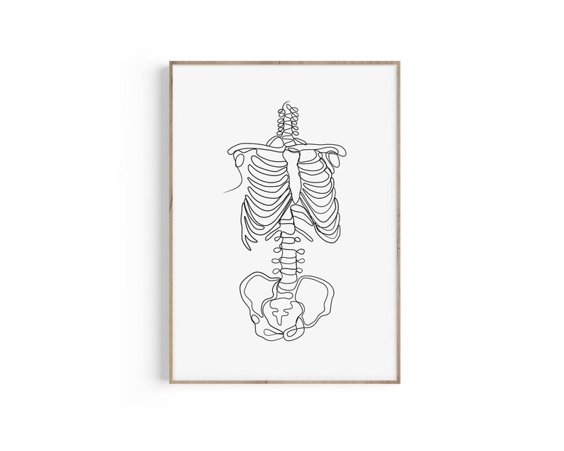 Rib Cage One Line Art Thorax Skeletal Print Rib Cage Print - Etsy