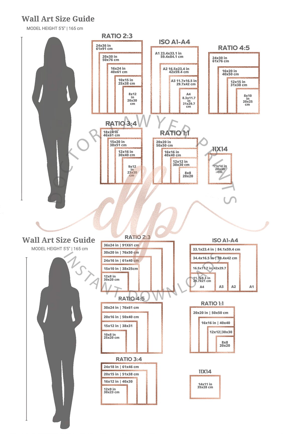 Spine Anatomy Poster Human Spine Print Chiropractor Gift - Etsy