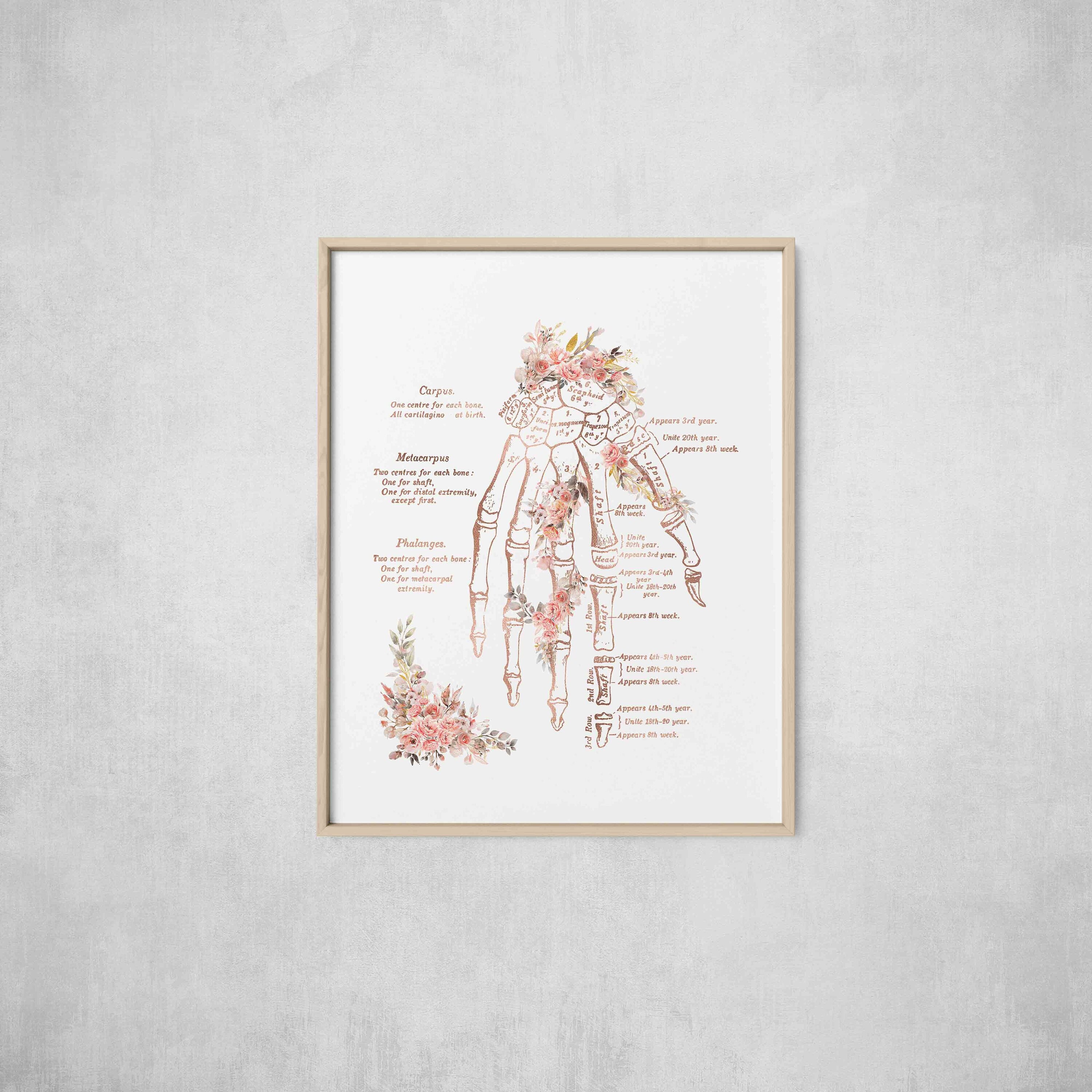 Hand Anatomy Art Hand Skeletal Bones Medical Poster Hand - Etsy