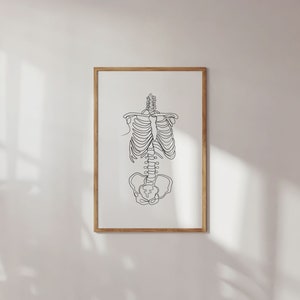 Rib Cage One Line Art, Thorax Skeletal Print, Rib Cage Print, Skeleton ...