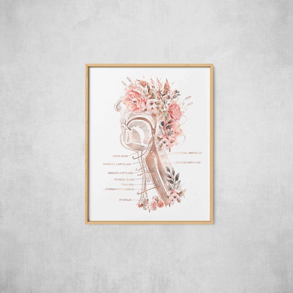 SLP Gift Speech Anatomy Art Speech Language Pathologist | Etsy