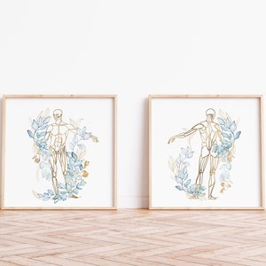 Anatomical Muscular System, Medical Art Prints, Anatomy Floral Art ...