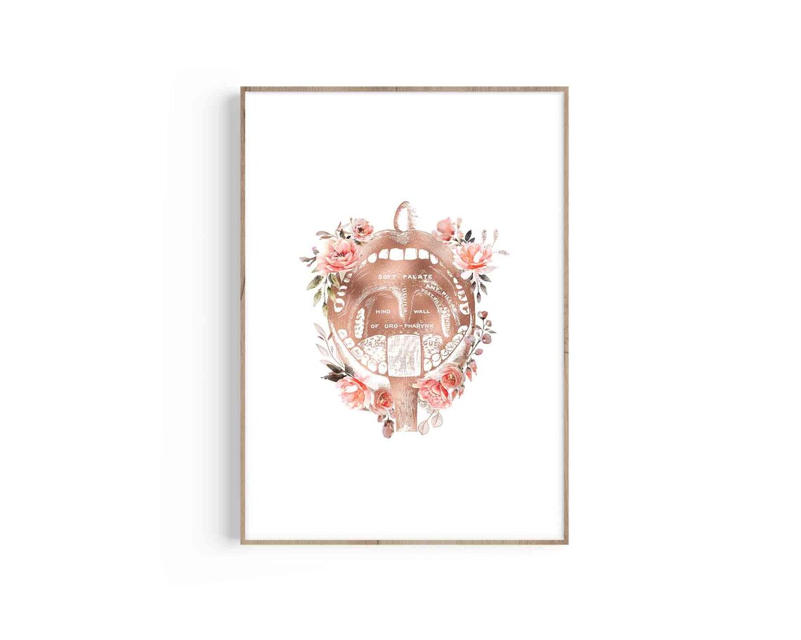 Human Mouth Anatomy Tongue Anatomy Oral Cavity Art Tonsils - Etsy