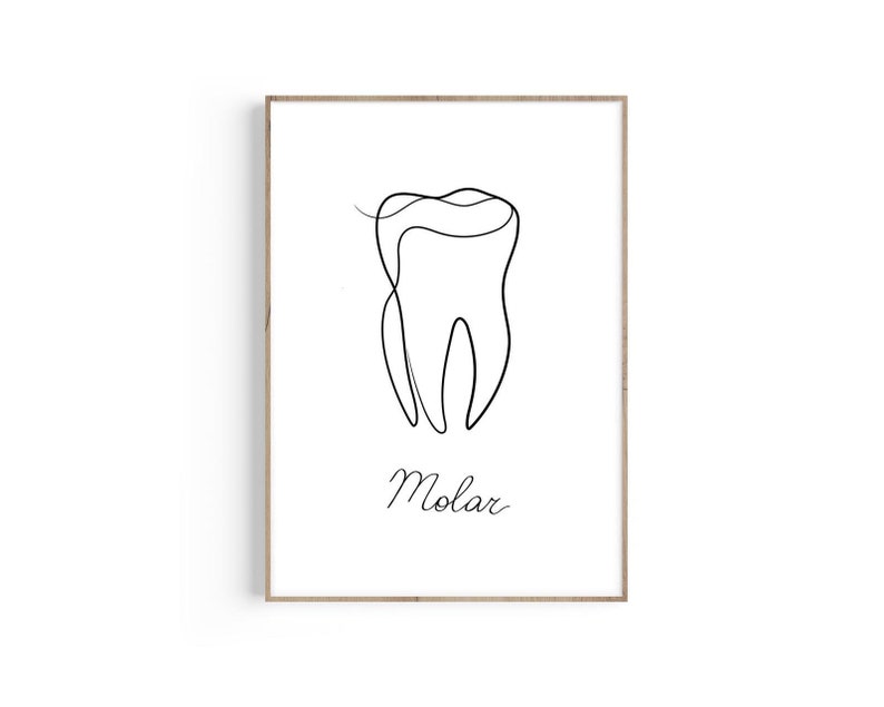 Molar Tooth One Line Art Dentist Gift Dentist Anatomy Art - Etsy