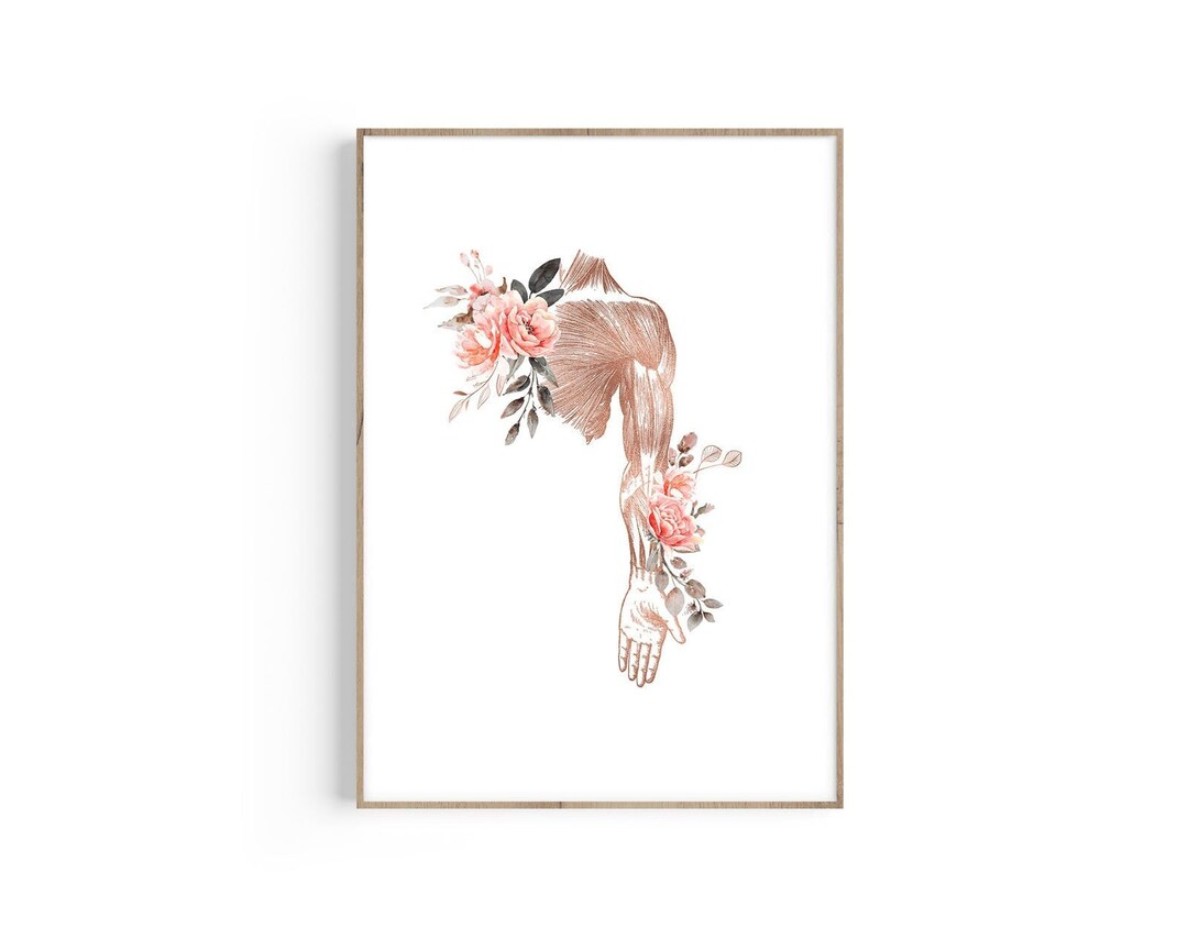 Arm Muscles Print Art, Doctor Gift, Chiropractor Gift, Arm Muscles ...