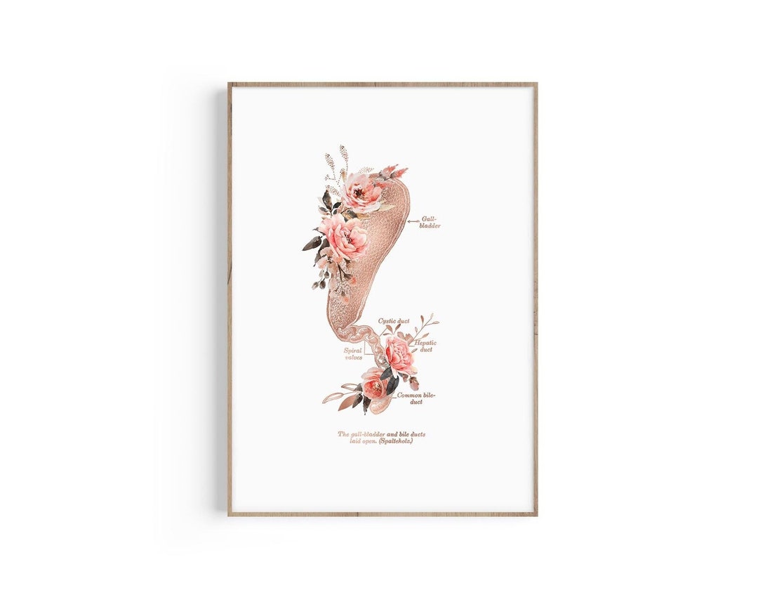 Floral Gall Bladder Anatomy Art Print: Gastroenterologist Gift (digital ...
