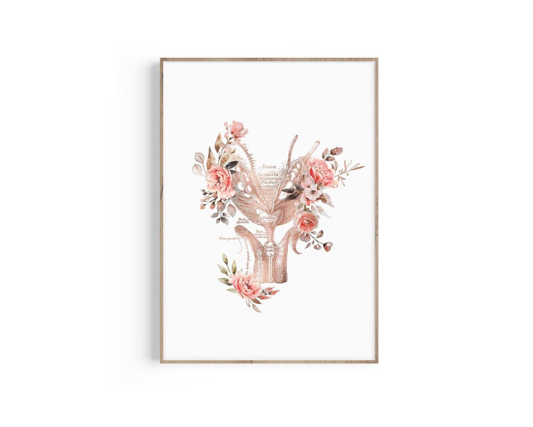 Bladder Print Art, Urethra Anatomy, Urologist Gift, Doctor Gift ...