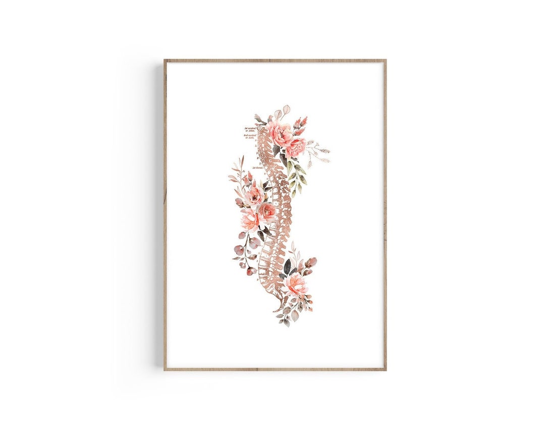 Spine Anatomy Poster, Human Spine Print, Chiropractor Gift, Physical ...