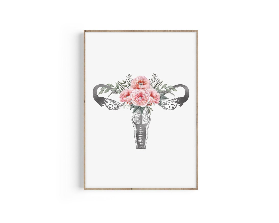 Uterus Anatomy Print Female Reproductive System Uterus Art - Etsy