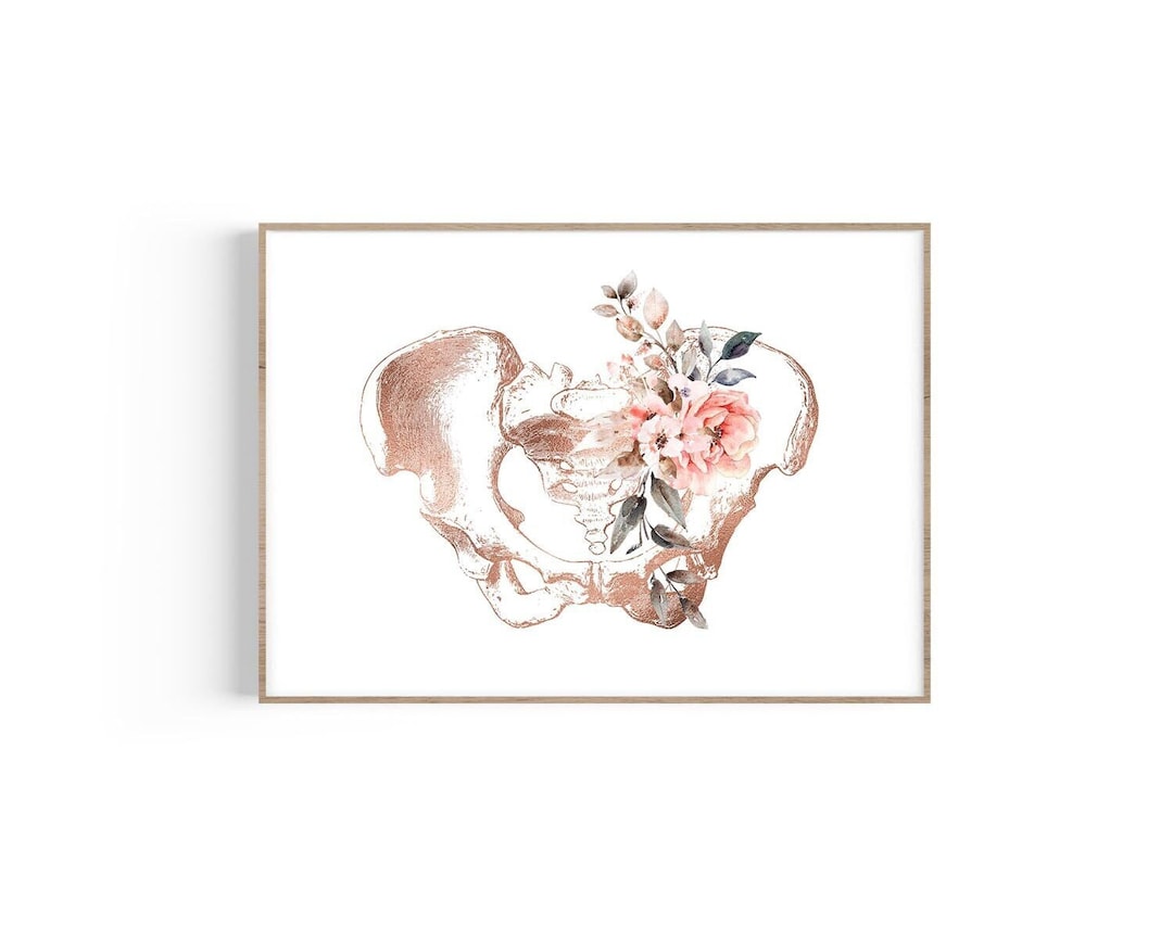 Floral Pelvis Anatomy Art Print: Doctor Gift (digital Download) - Etsy