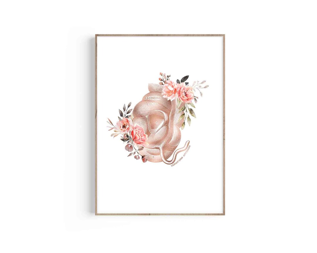 Appendix Anatomy Art, Digestive System, Surgeon Gift, Surgical Art ...
