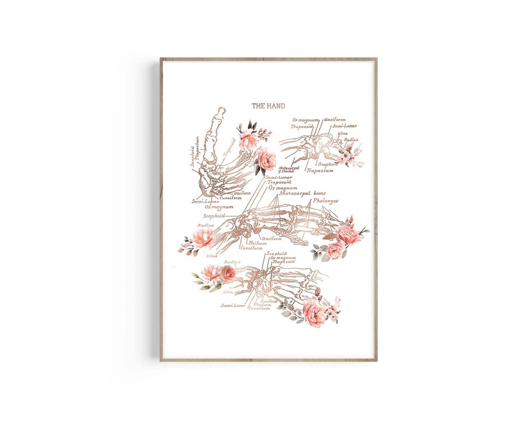 Hand Anatomy Art, Hand Skeletal Bones, Medical Poster, Hand Print ...