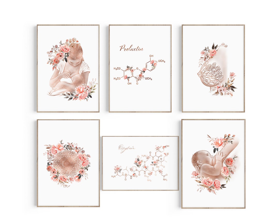 Breastfeeding Art Prints: Lactation Consultant Office Decor (digital ...