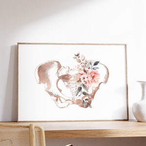 Floral Pelvis Anatomy Art Print: Doctor Gift (digital Download) - Etsy