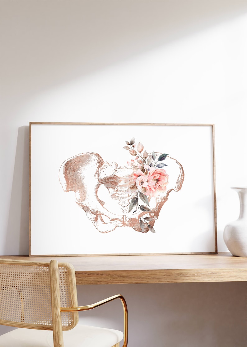 Floral Pelvis Anatomy Art Print: Doctor Gift (digital Download) - Etsy