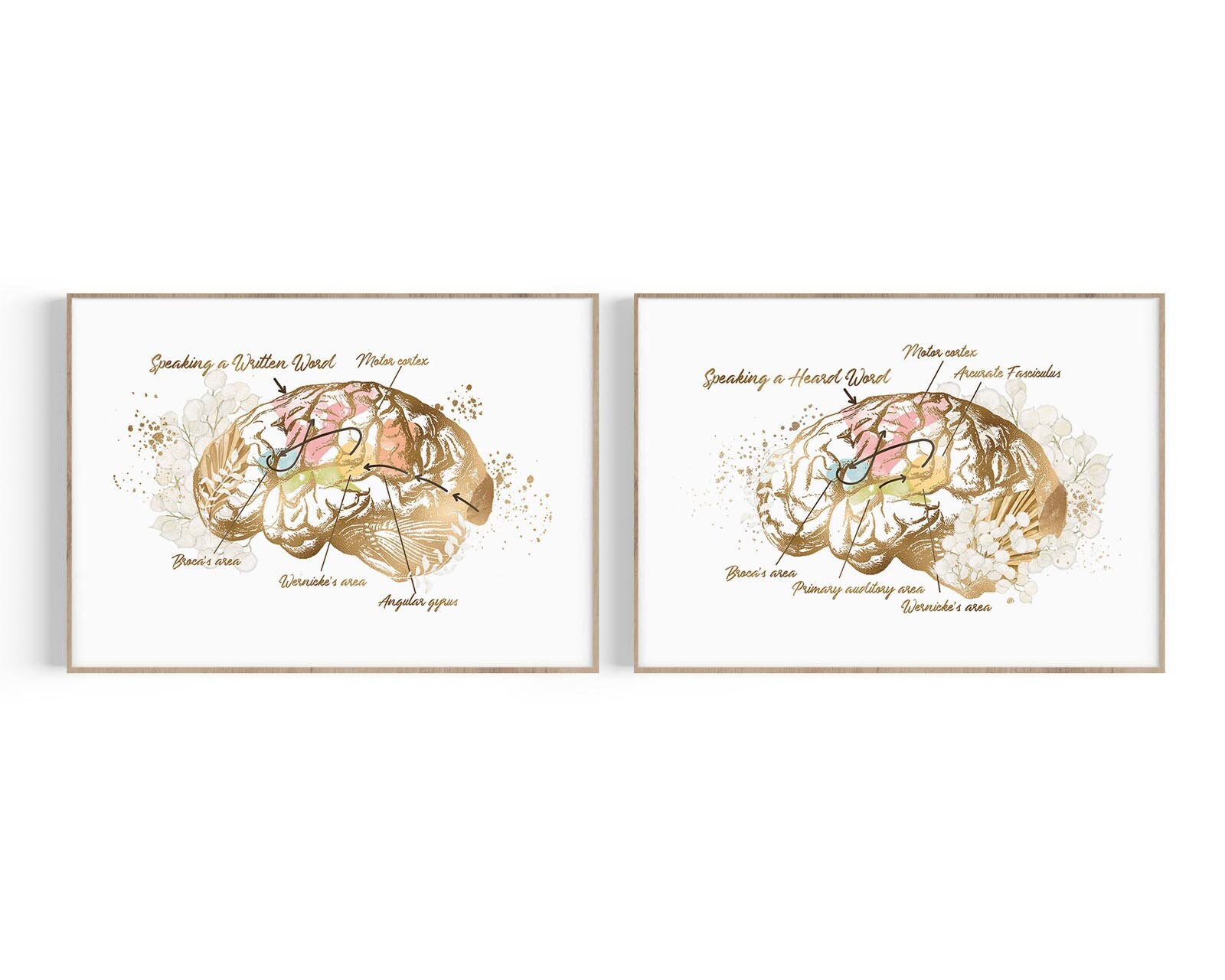 SLP Brain Prints Anatomy Floral Art Psychology Office Art - Etsy