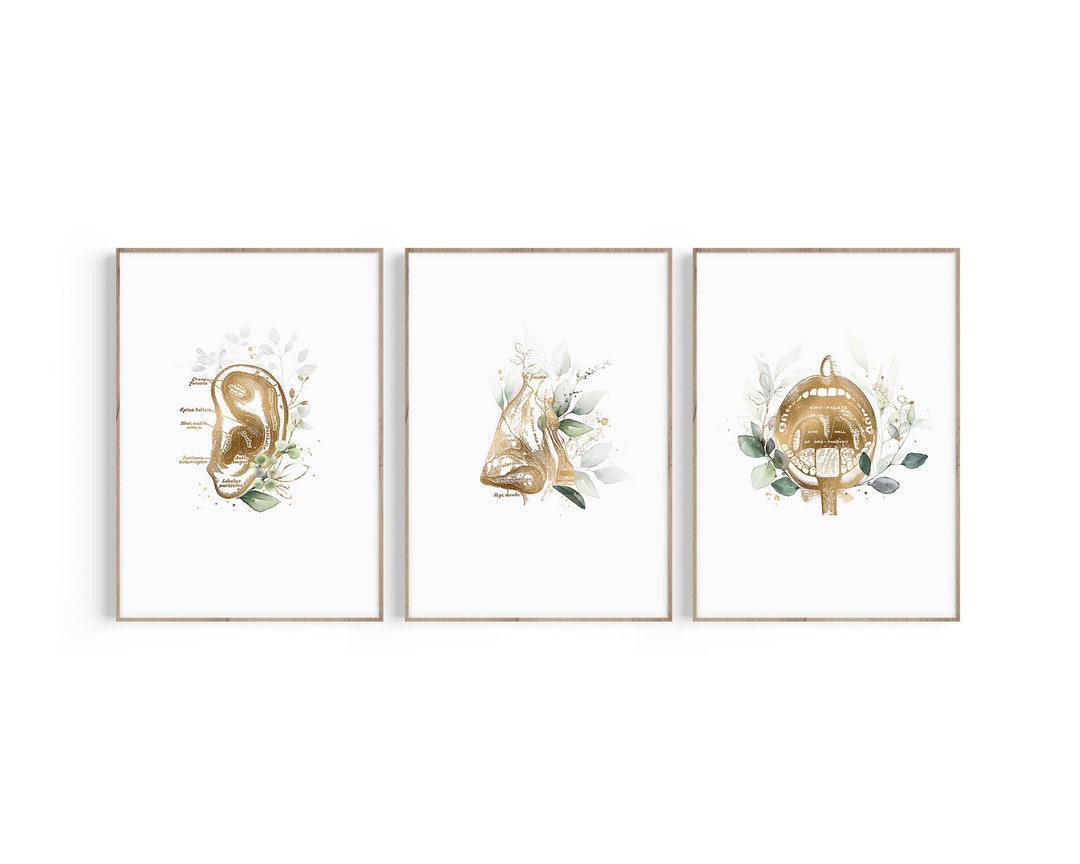 ENT Wall Art, Otolaryngologist Gift, ENT Office Decor, Ear Nose Throat ...